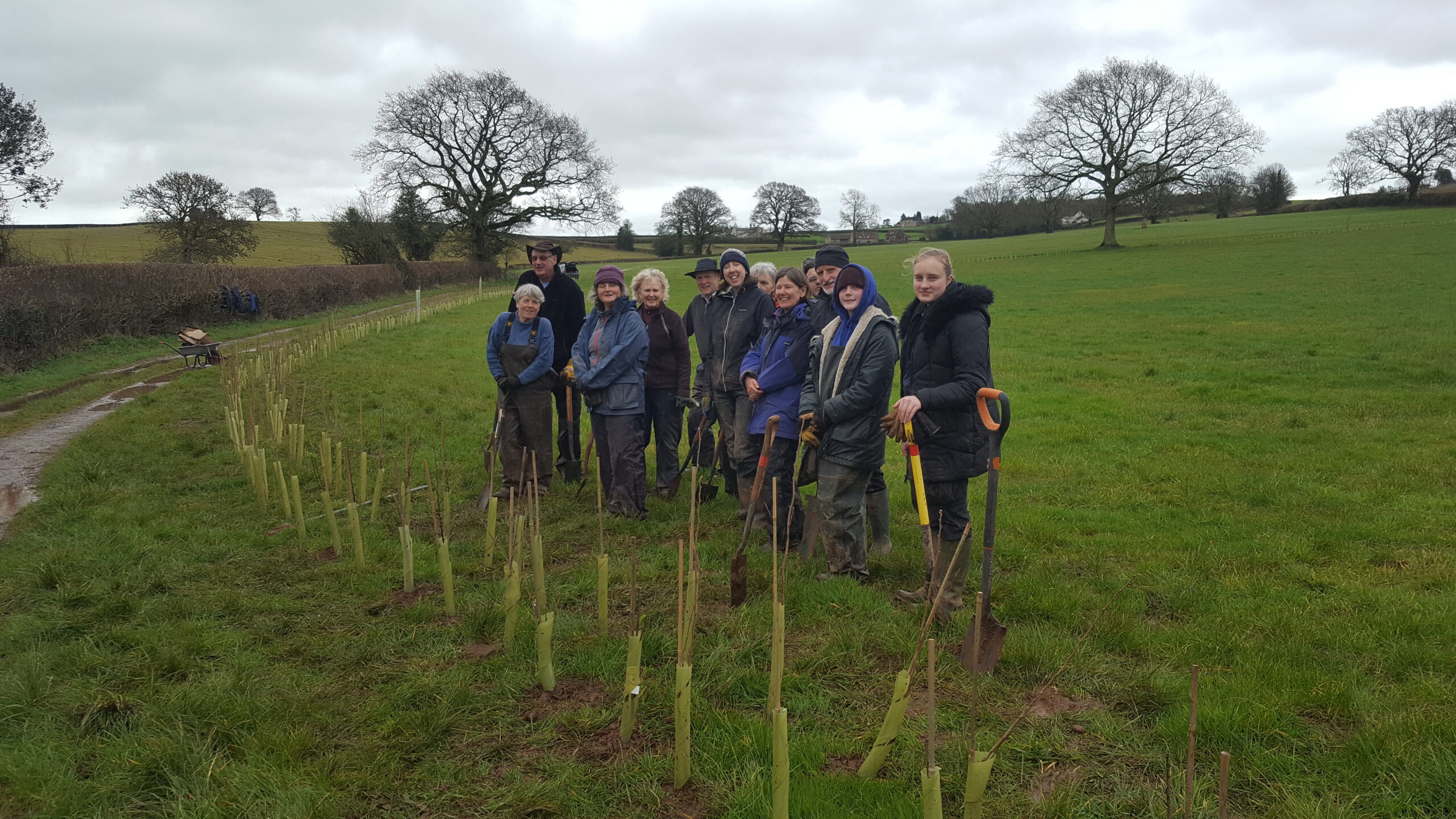 Hedgerow Heroes Highlights 2024 - CPRE Avon and Bristol