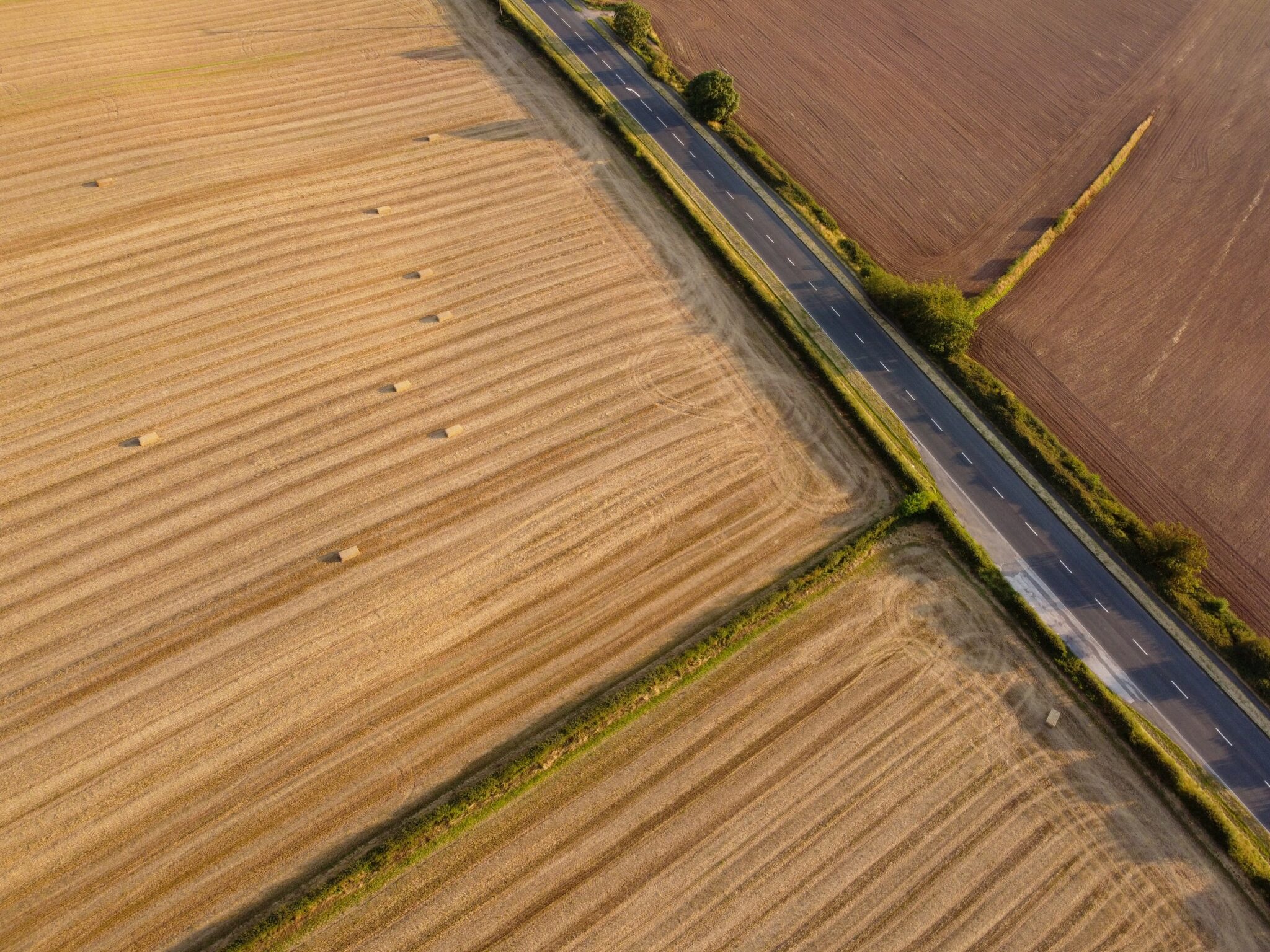 How to Manage Hedgerows on your Land - CPRE Avon and Bristol