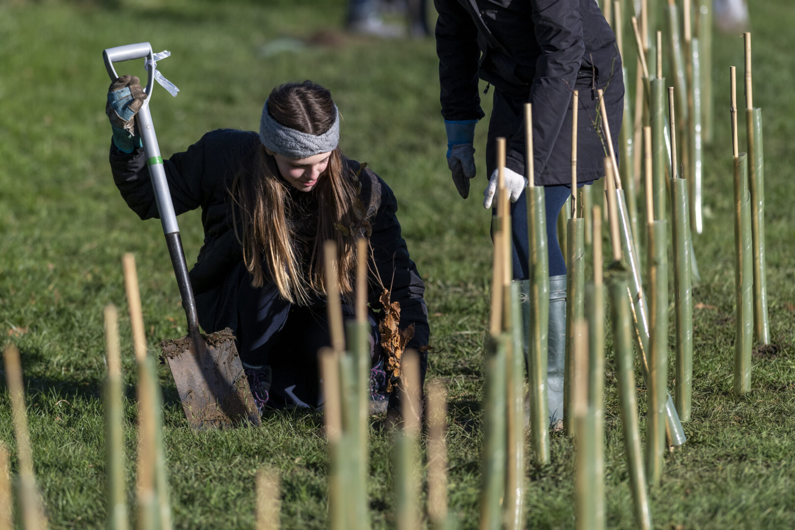 How to Manage Hedgerows on your Land - CPRE Avon and Bristol